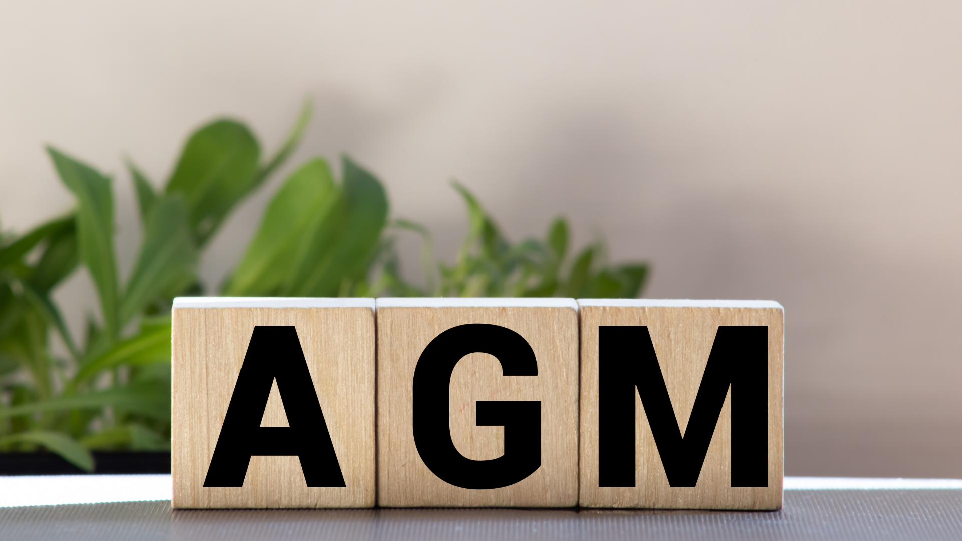 Annual General Meeting 2024 - Committee for Perth